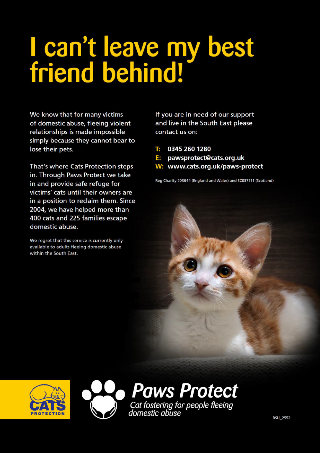 Domestic Violence – Worthing Cat Welfare Trust (CIO)