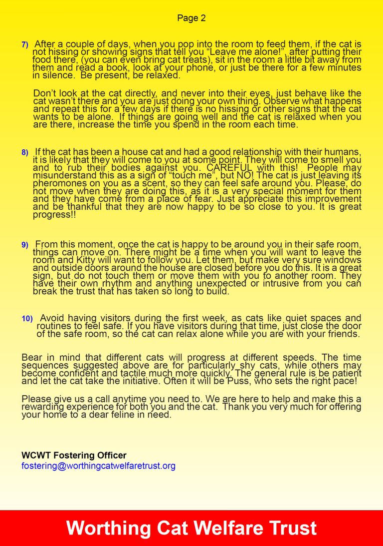 Foster For Us – Worthing Cat Welfare Trust (CIO)